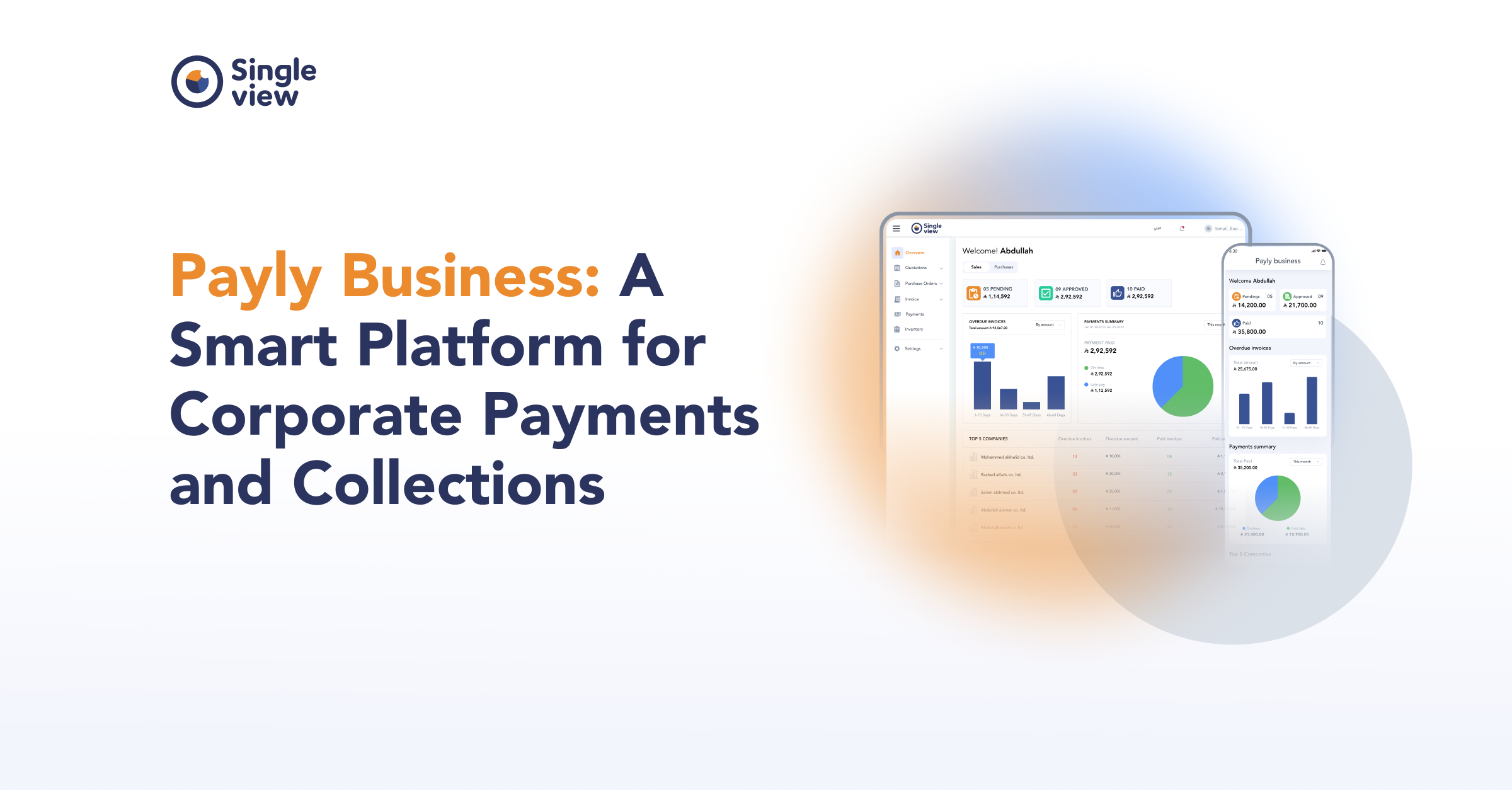 Payly Business | Smart Platform for Payments and collection | SingleView